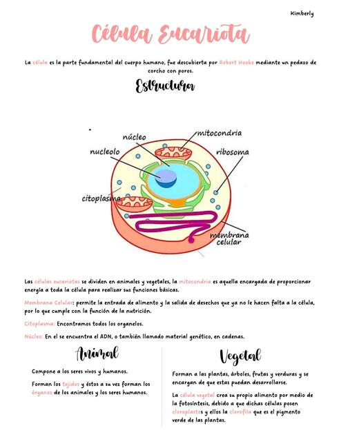 Célula Eucariota | BluePink Ice | uDocz