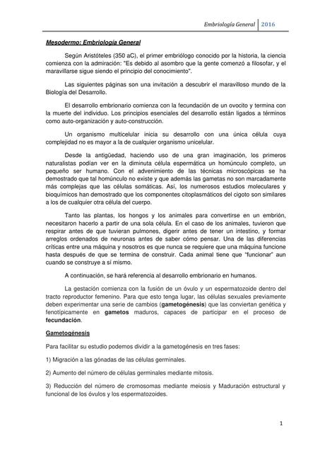 Mesodermo Embriología General Biología General Udocz 9912