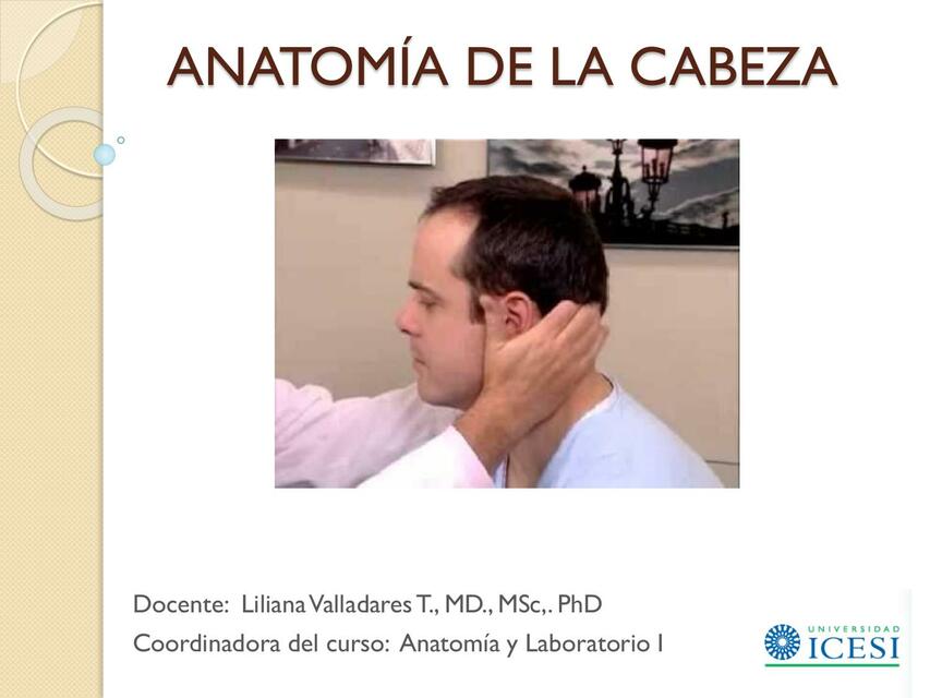 Anatomía de la Cabeza | Laura Alvarado | uDocz