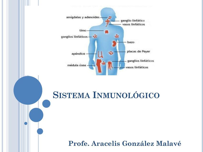 Sistema Inmunológico | aracelis gonzalez | uDocz