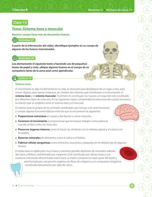 Sistema Óseo y Muscular | Enfermería | uDocz