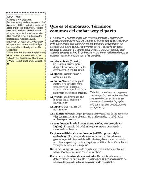 que es el embarazo | uDocz