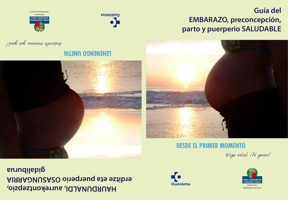 Guía del embarazo, preconcepción, parto y puerperio saludable ...