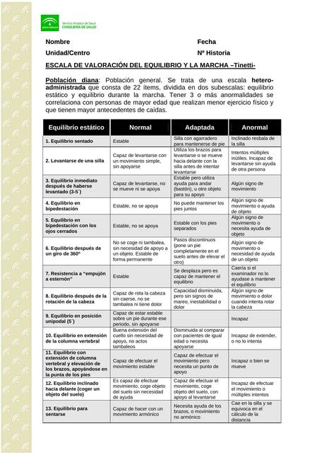 Escala de valoración del equilibrio y la marcha | JESUS LECHUGA | uDocz