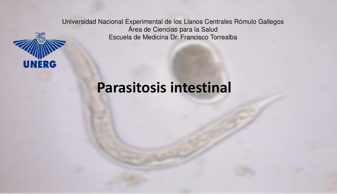 Parasitosis intestinal | Danibeth Peña | uDocz
