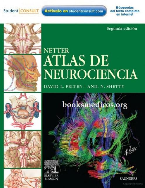 Netter Atlas de Neurociencia | Juan Cervellini | uDocz