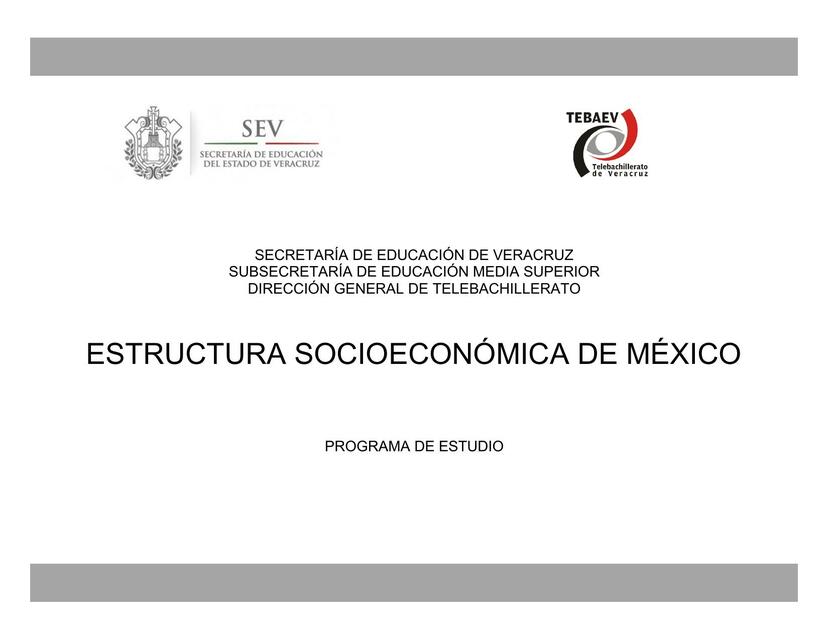 Estructura Socioeconómica de México | librito financiero | uDocz Estructura Socioeconómica de México | librito financiero | uDocz