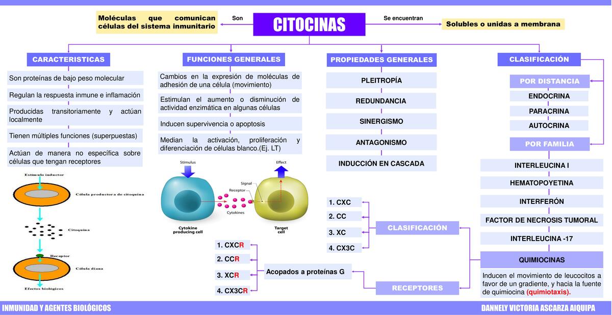 Citocinas | MEDICAL NOTES | uDocz