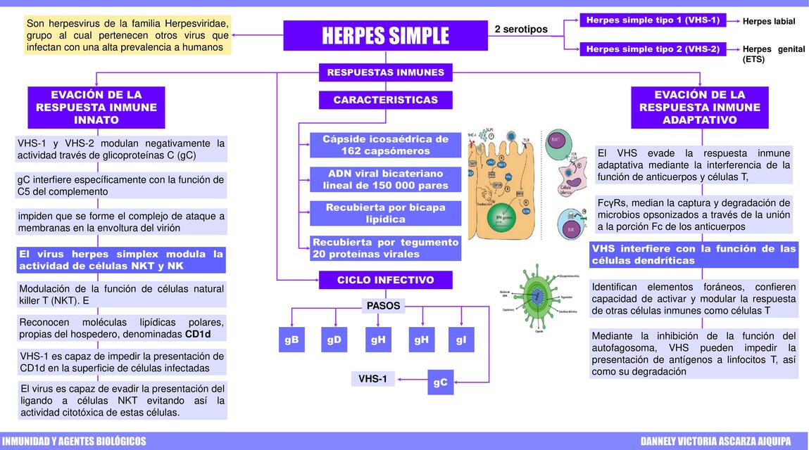 Herpes Simple | MEDICAL NOTES | uDocz