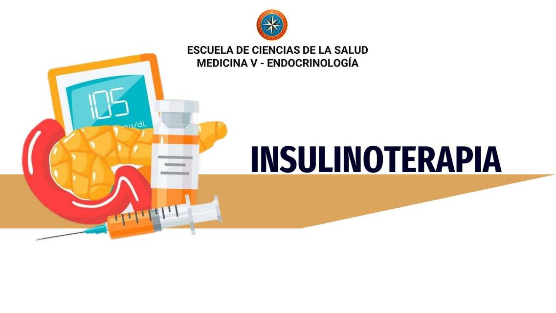 INSULINIZACION O INSULINOTERAPIA | Dra. Adriannys Mata | uDocz
