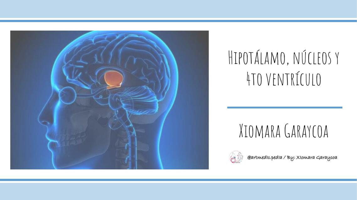 Hipotálamo, Núcleos y 4to Ventrículo | Xiomara Nayeli | uDocz