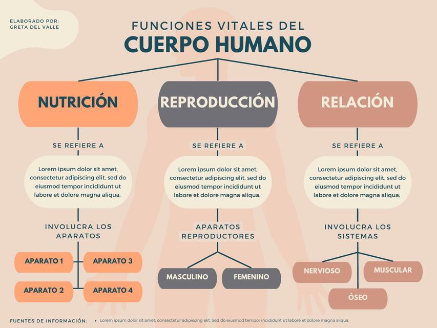 Funciones Vitales del Cuerpo Humano | Anonymous | uDocz Funciones Vitales del Cuerpo Humano | Anonymous | uDocz