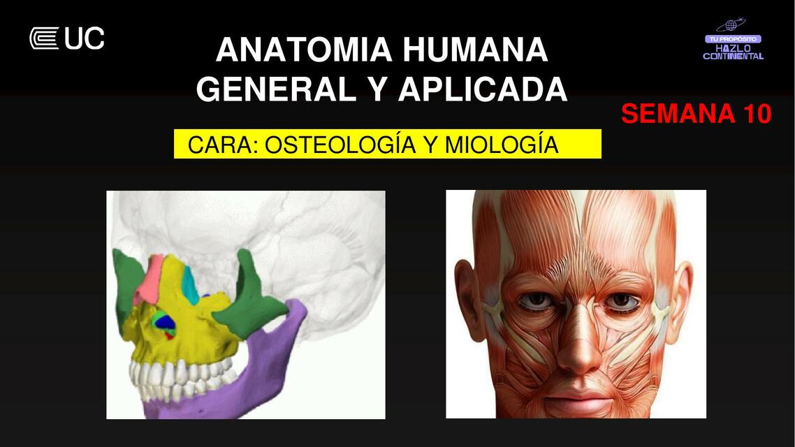 Anatomía Humana General y Aplicada | Prisci c; | uDocz