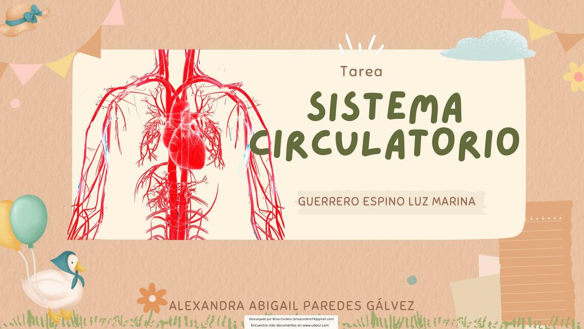 Sistema circulatorio | Enfermería | uDocz