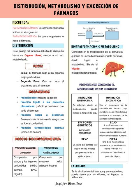 Distribución, Metabolismo y Excreción de Fármacos | MARIA TERESA ANGEL ...