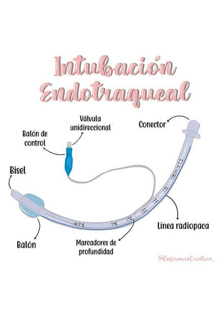 Intubación Endotraqueal | Enfermería | uDocz Intubación Endotraqueal | Enfermería | uDocz