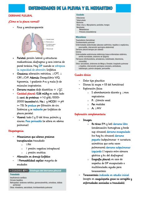 Enfermedades de la Pleura y el Mediastino | JOSE ENRIQUE SEGURA LOZANO | uDocz
