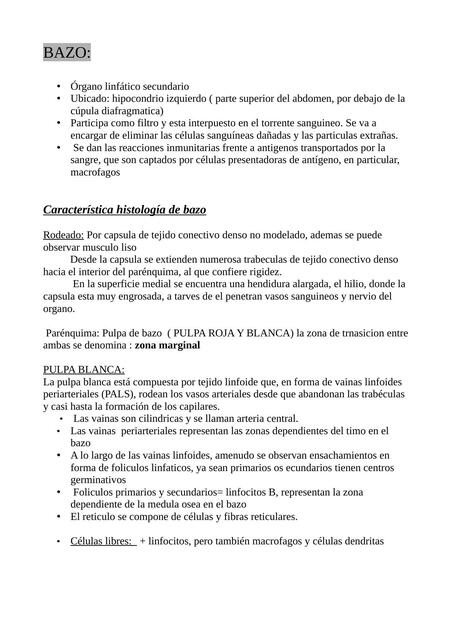 Resumen de Bazo y Malt | Antonella Pérez | uDocz