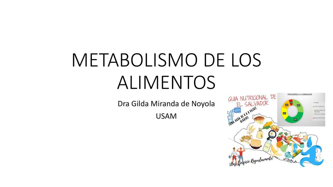 Metabolismo de los Alimentos | Kevin Turcios | uDocz