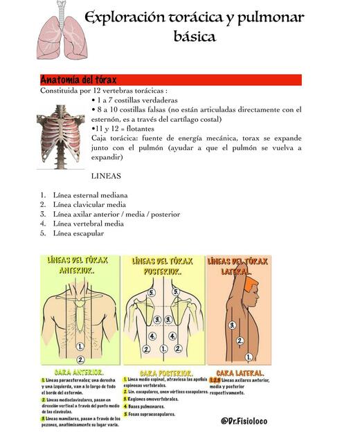 Exploración torácica y pulmonar básica | Cristina Cruz | uDocz