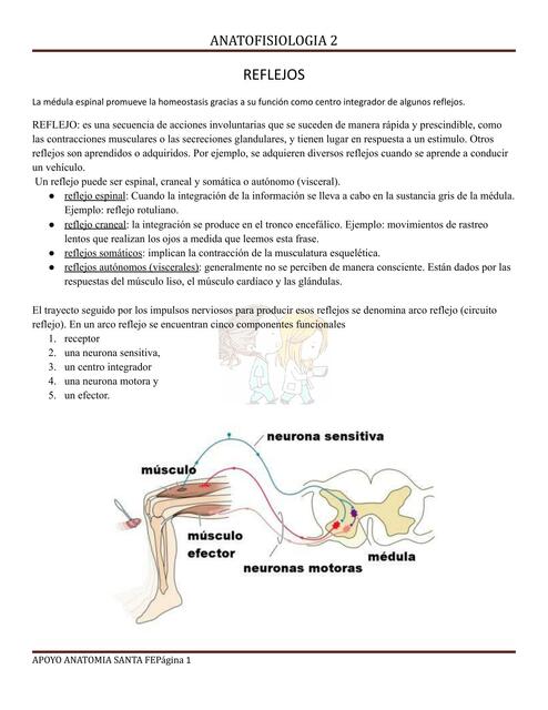 Reflejos | Valentina Medrano | uDocz