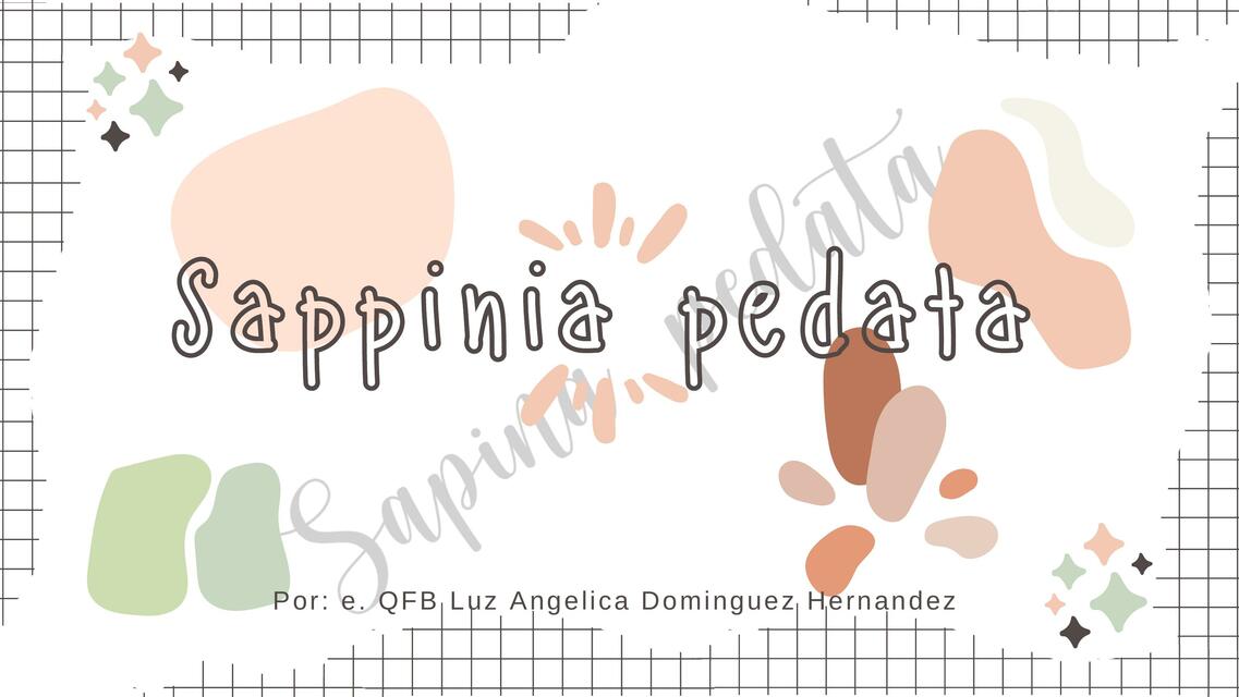 Sappinia pedata | Ranita Cientifica | uDocz