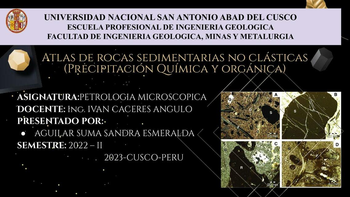 Atlas de rocas sedimentarias no clásticas Precipitadas | Sandra ...