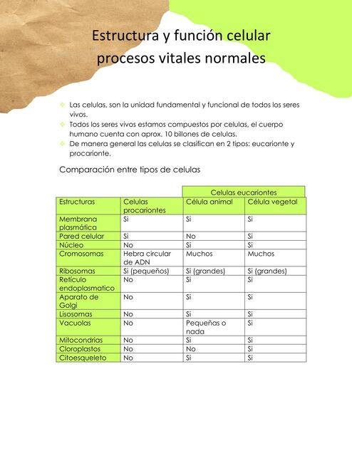 Estructura y función celular procesos vitales normales | Mariana Barrios | uDocz