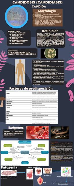 Candidiasis | gali moreno | uDocz