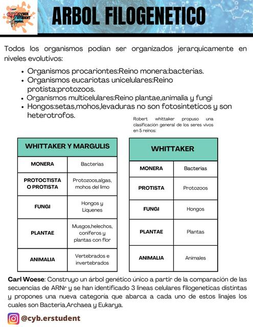 Resúmenes de Árbol filogenético | Descarga apuntes de Árbol filogenético
