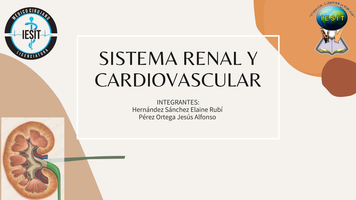 Sistema Renal y Cardiovascular | Abril Santiago gonzalez | uDocz