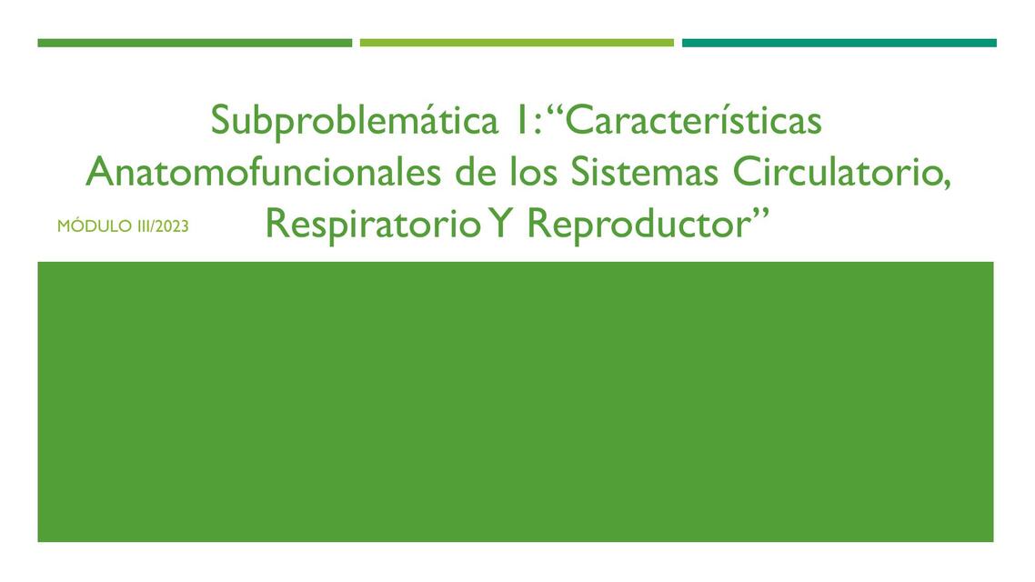 Cardio 2 Ros Valle Udocz