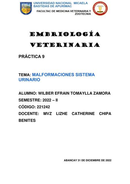 Malformaciones Sistema Urinario | Wilber Efrain Tomaylla Zamora | uDocz