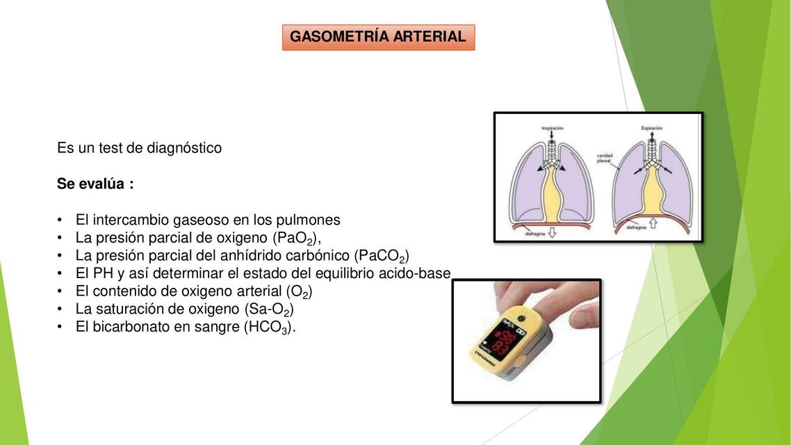 Gasometría Arterial | Thalia La paz ochoa | uDocz