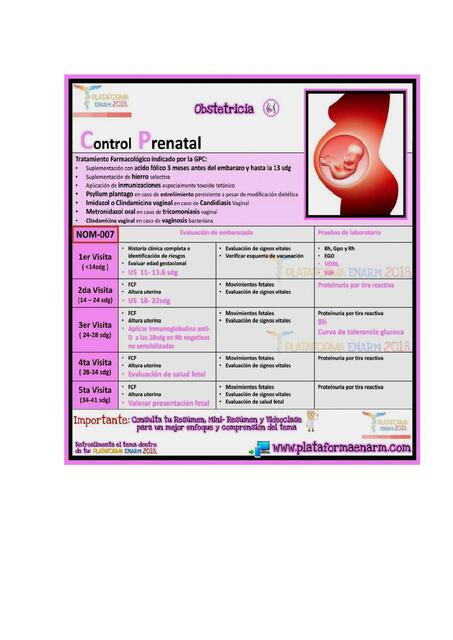 Control Prenatal | Enfermería | uDocz