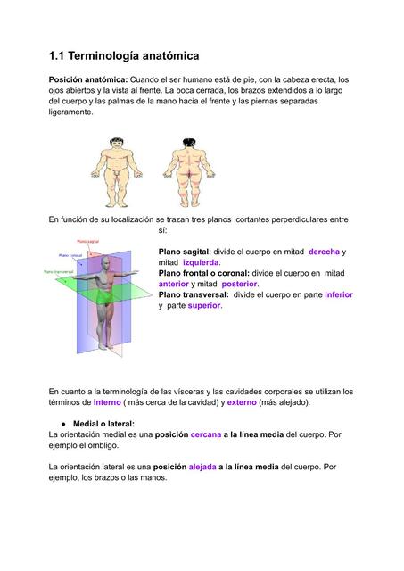 Terminología Anatómica | ANONIMO NNNN | uDocz Terminología Anatómica | ANONIMO NNNN | uDocz