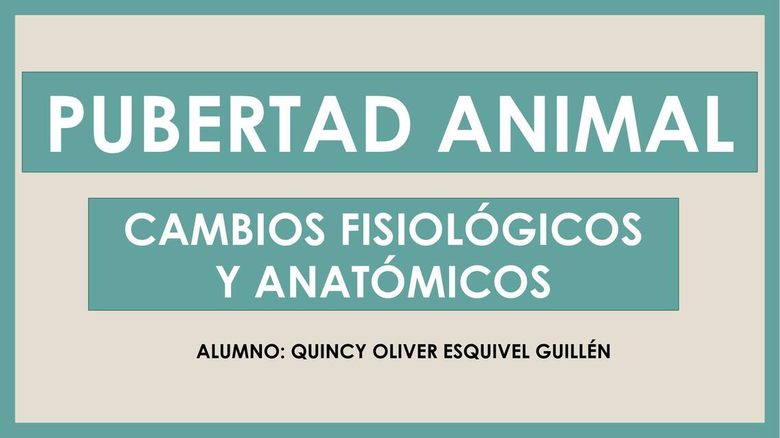 Pubertad Animal | Dr.Quinver | uDocz
