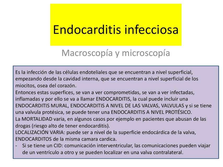 Endocarditis Infecciosa - Anatomopatológica | Gabriela Cuellar Corilla ...