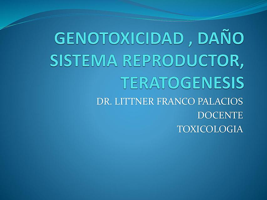 GENOTOXICIDAD DANO SISTEMA REPRODUCTOR TERATOGENESIS | Natalia Guerrero ...