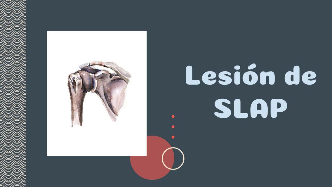 Lesión de SLAP | Fisiomedic Studio | uDocz