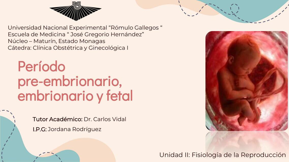 Período pre-embrionario, embrionario y fetal | Jordana | uDocz