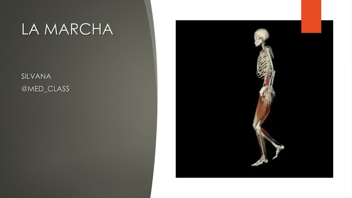 LA MARCHA (tipos, proceso, con imagenes y graficos) | Silvana Acosta ...