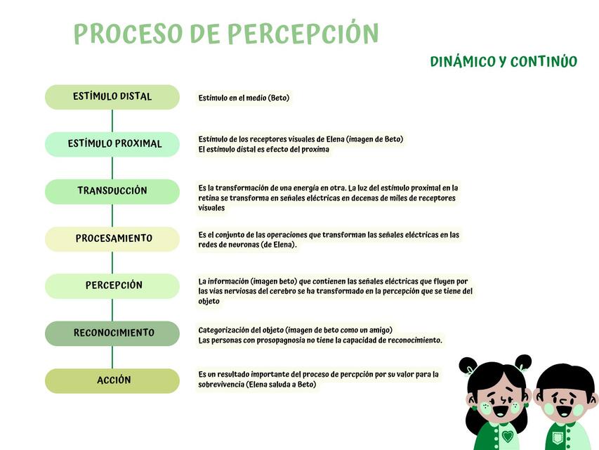 El Proceso de Percepción | Fer Cruz | uDocz