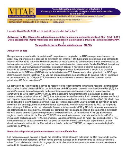 La Ruta Ras Raf MAPK en la Señalización del Linfocito T | biologista13 ...