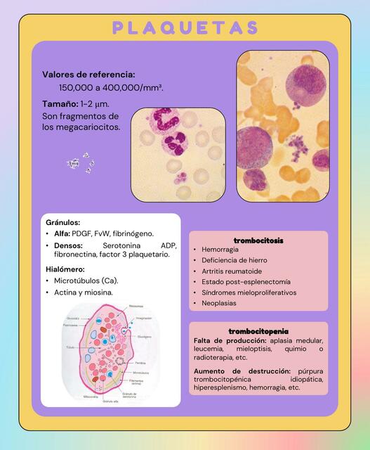 Plaquetas | Javier Rios | uDocz