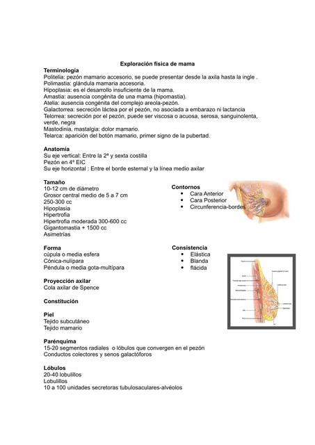 Resumen capítulo 10 Bates Guía de Exploración Física e Historia Clínica ... Resumen capítulo 10 Bates Guía de Exploración Física e Historia Clínica ...