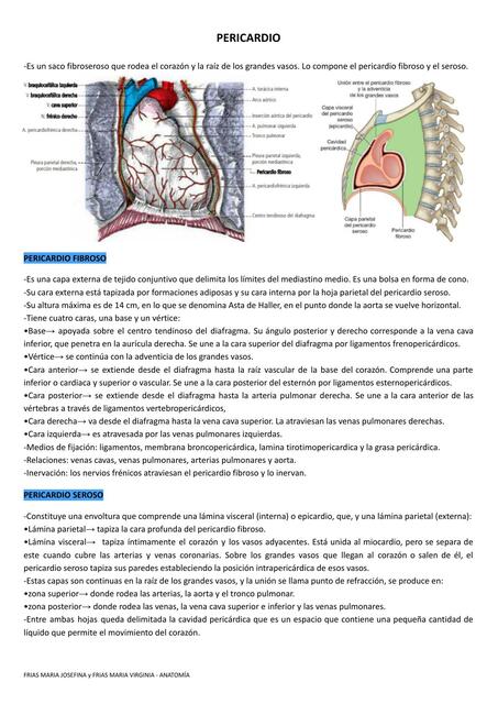 Pericardio | MFrias | uDocz
