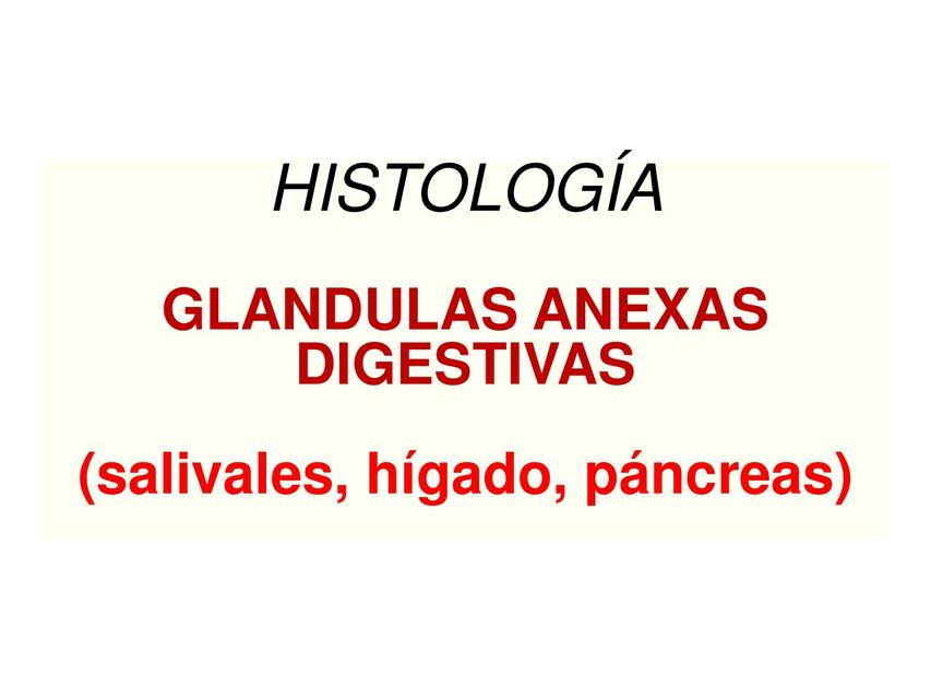 HÍGADO, PÁNCREAS, GLÁNDULAS SALIVALES - diapositivas | Dra. Cristina ...