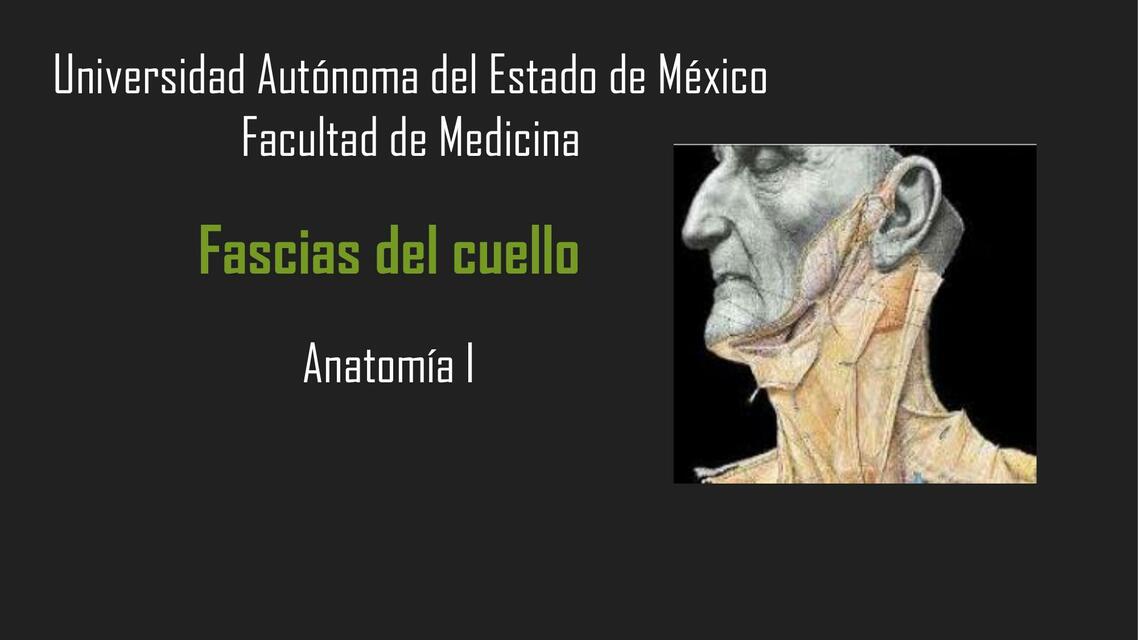 Anatomía de las Fascias del cuello | uDocz | uDocz