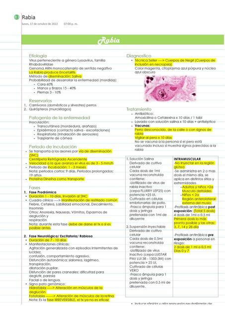 Rabia | Alejandra | uDocz